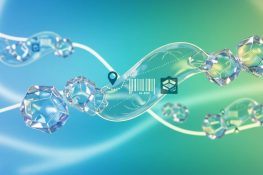 Understanding Blockchain Nodes: What They Are and Why They Matter